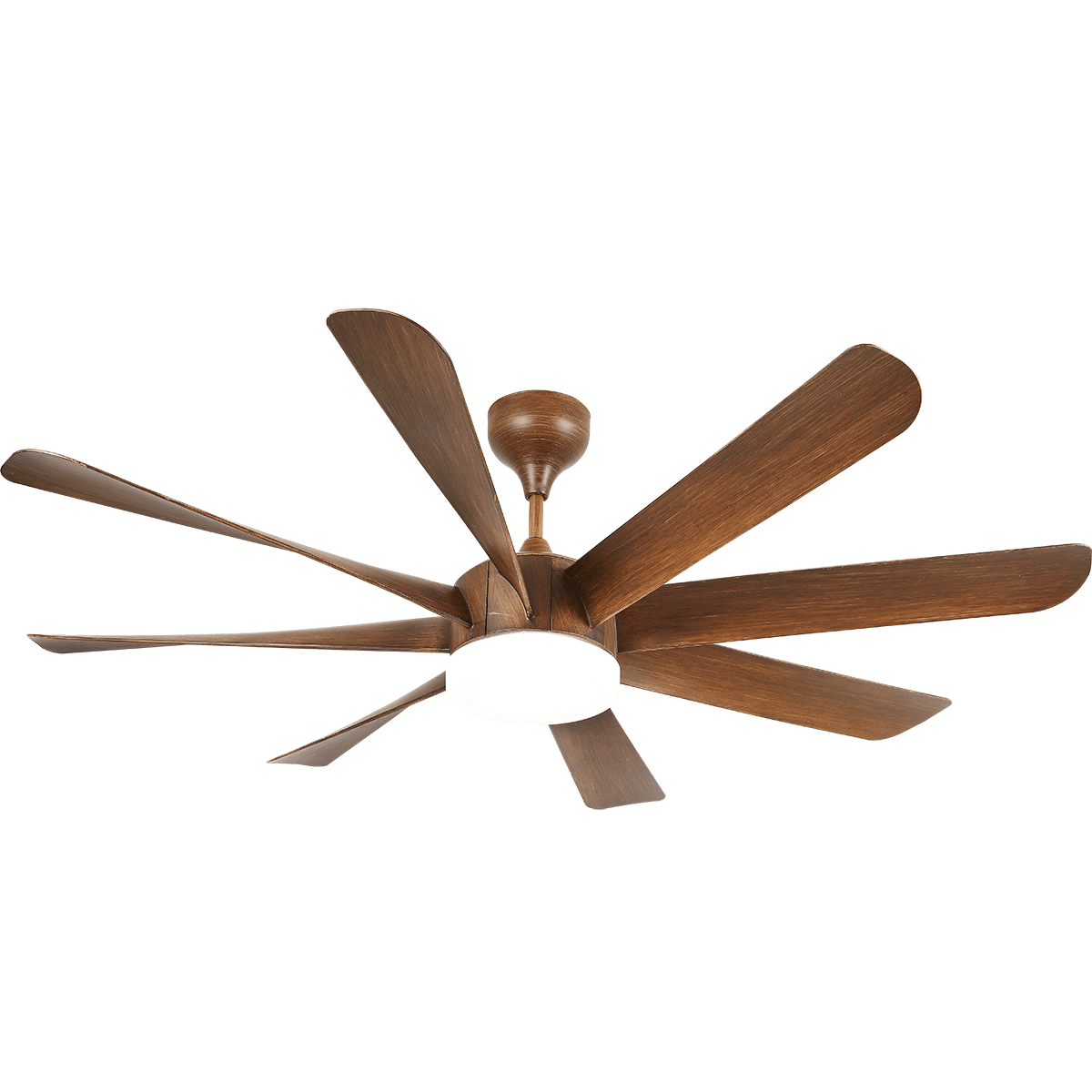 Banono Series – Fandasy